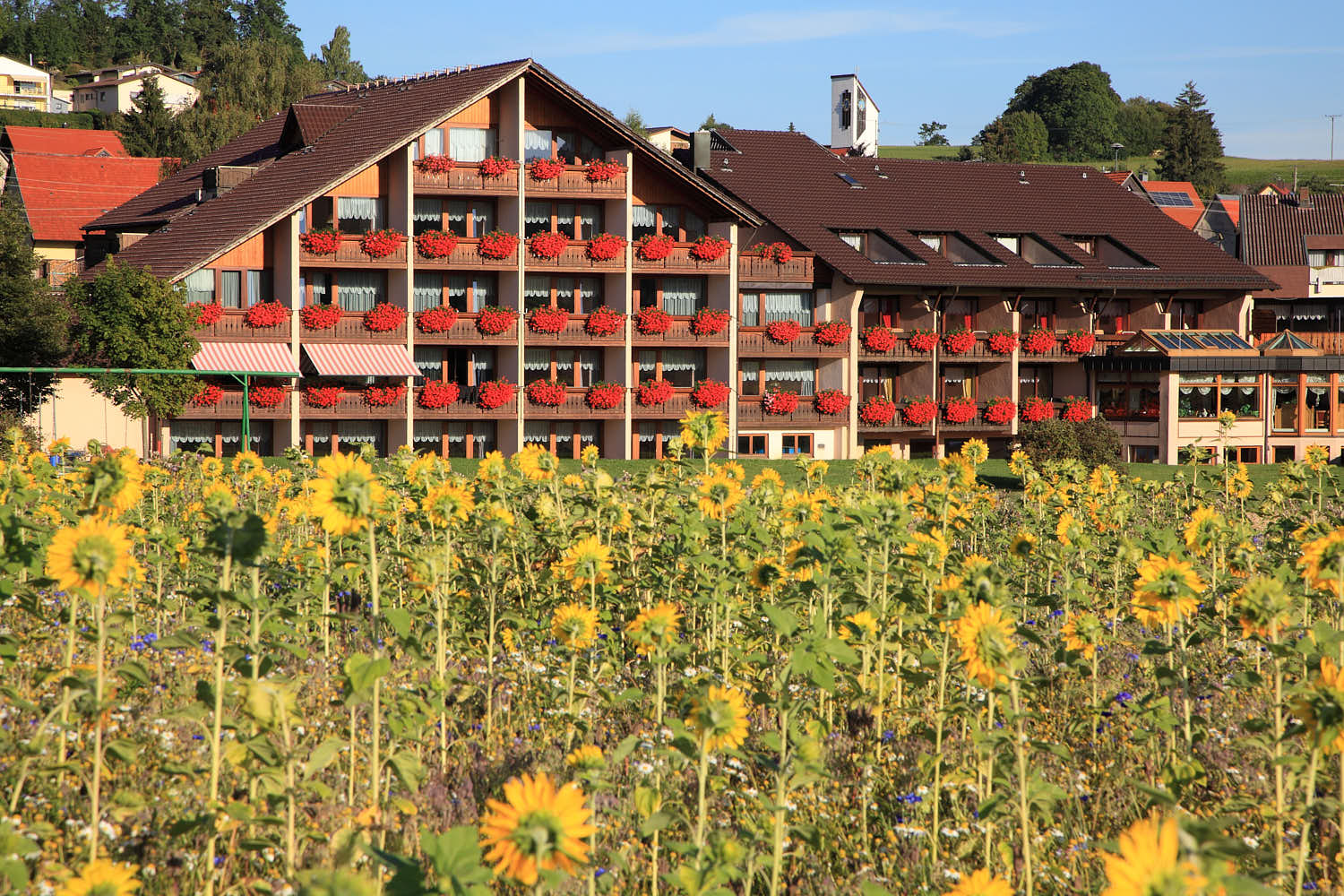 Zimmer Robin - Albhotel Bauder